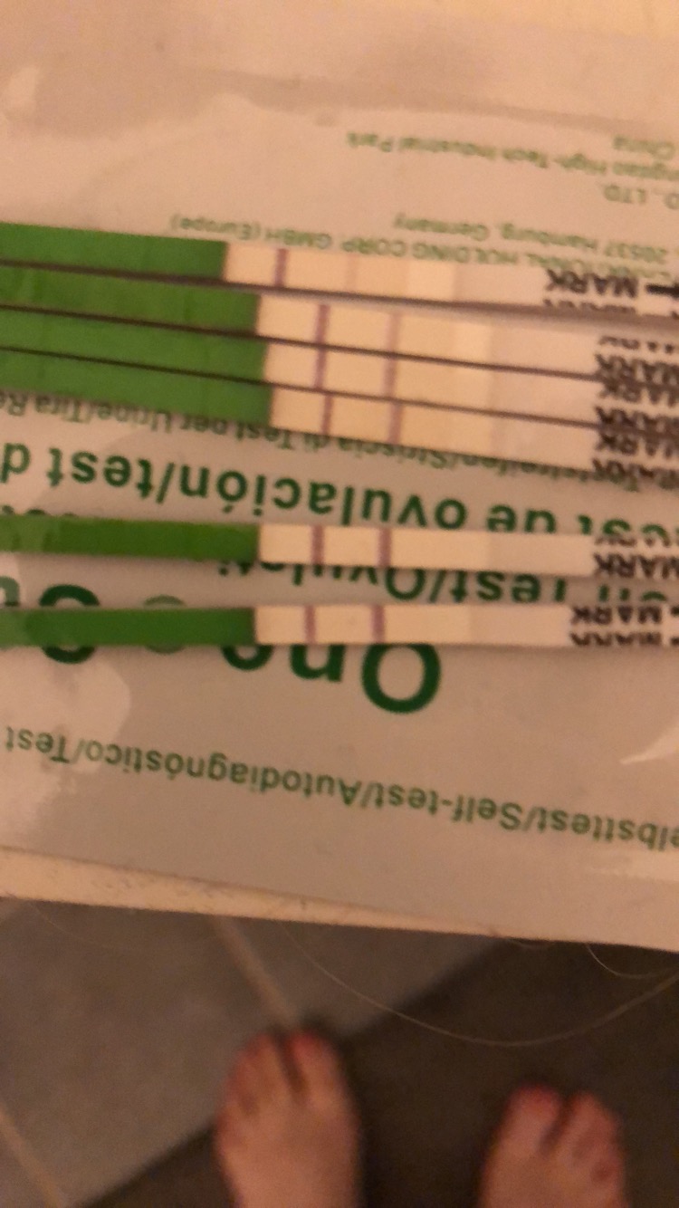 Forvirret av testene mine.. | Babyverden Forum